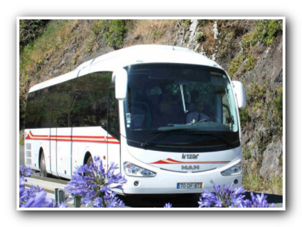 Explore Madeira by bus - this is how it works
