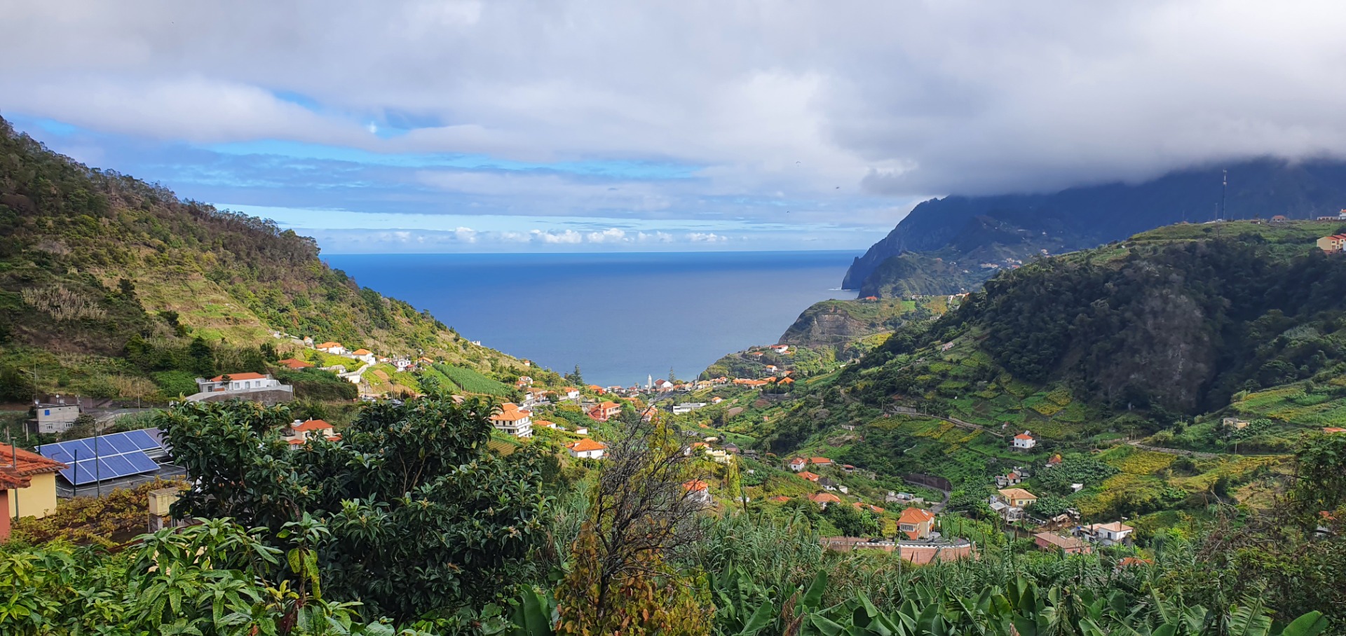 Poncha: the delicious drink from Madeira
