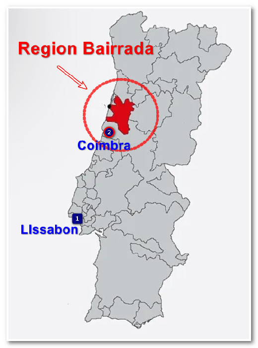 Die Region Bairrada: Ein Genuss für Gaumen und Sinne