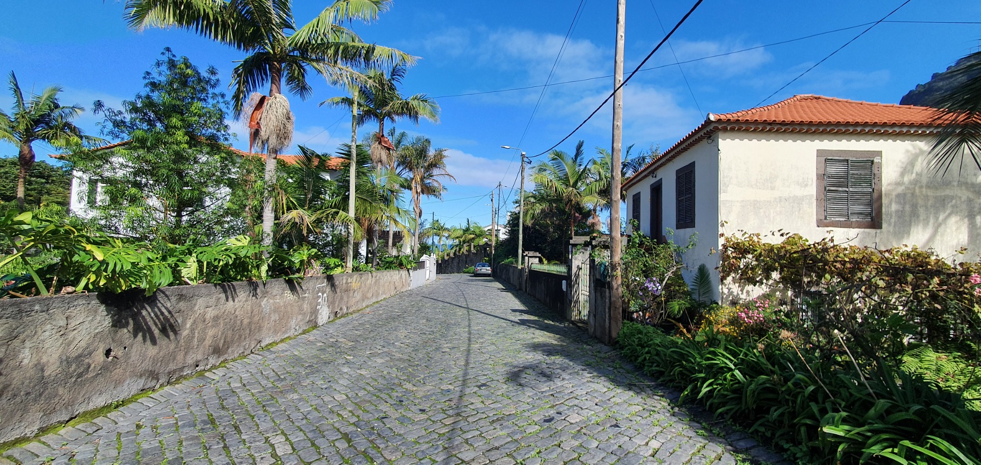 Madeira mit dem Bus erkunden - so gehts